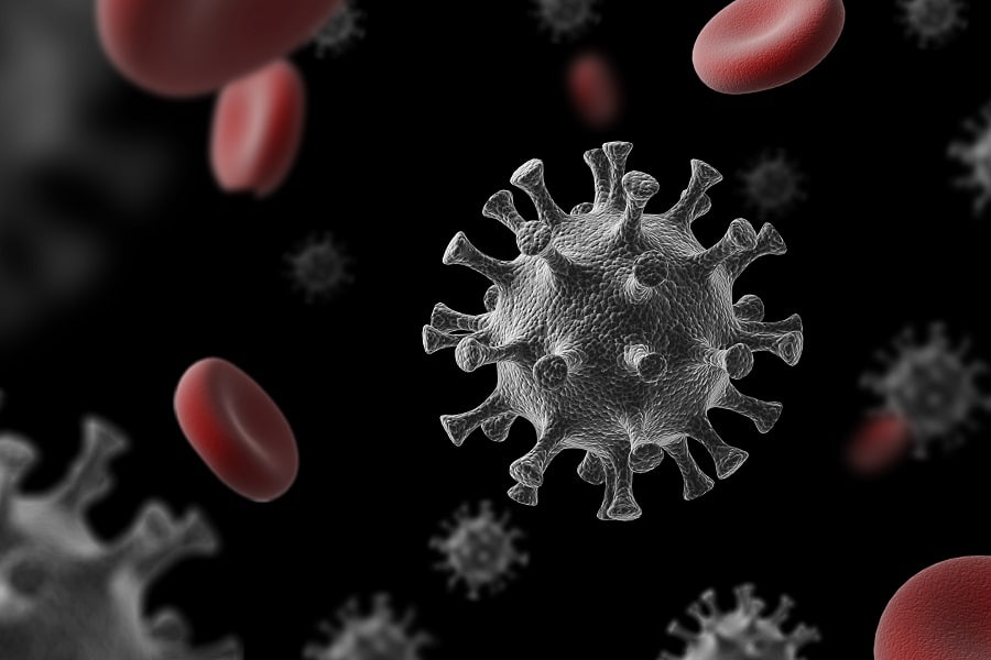 How A Virus Spreads And Who Is Most At Risk - Science Recent - Your ...