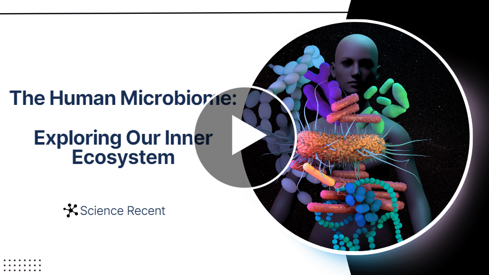 The Human Microbiome: Exploring Our Inner Ecosystem - Science Recent ...