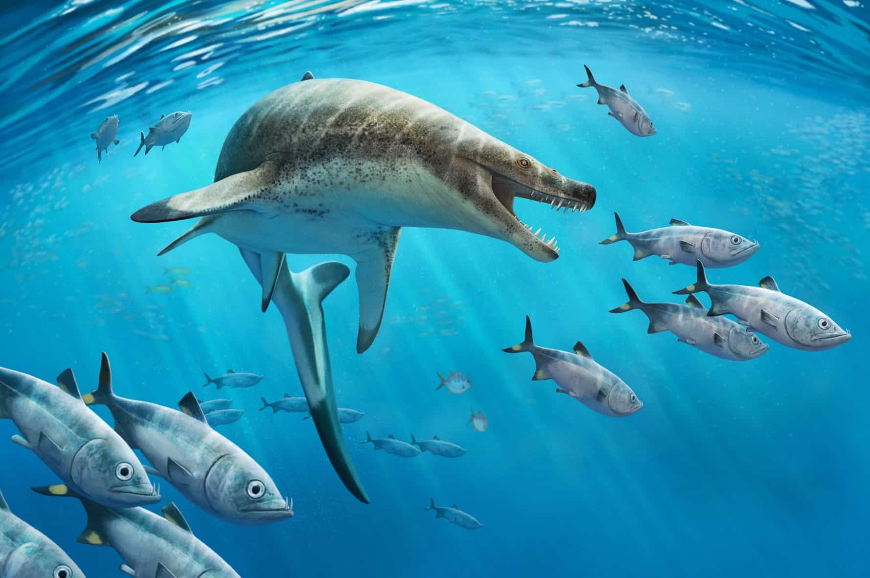 A New Species Of Giant Ancient Sea Lizard Has Been Discovered - Science ...