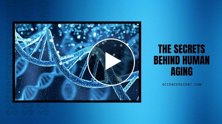 The Secrets Behind Human Aging - Science Recent - Your Daily Science Source