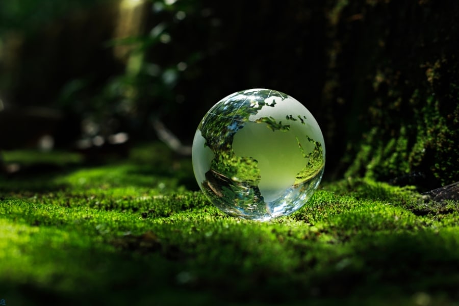 7 Shocking Facts About the Fragility of Earth’s Ecosystem - Science ...